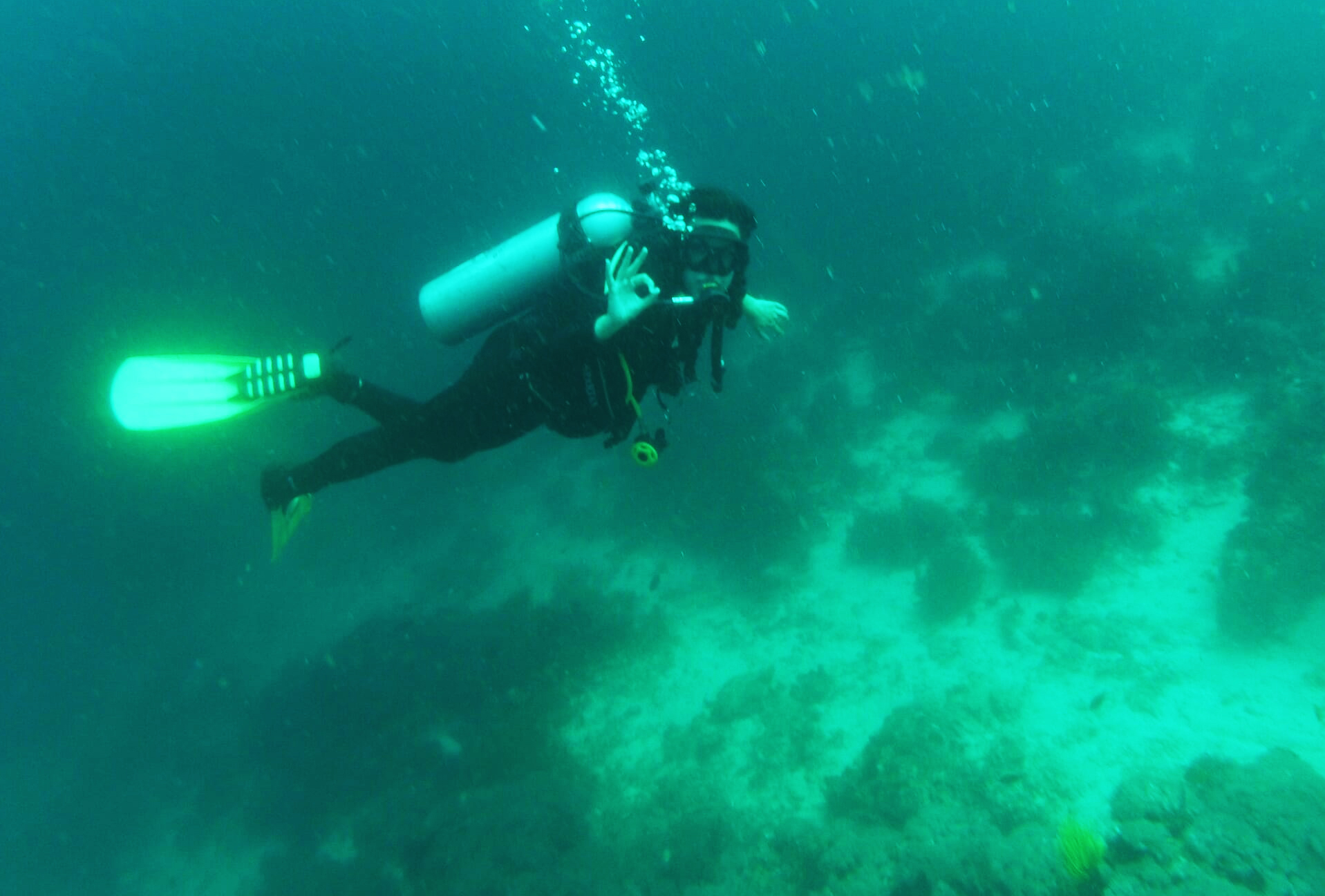 Laura Neri Perez – SNHA