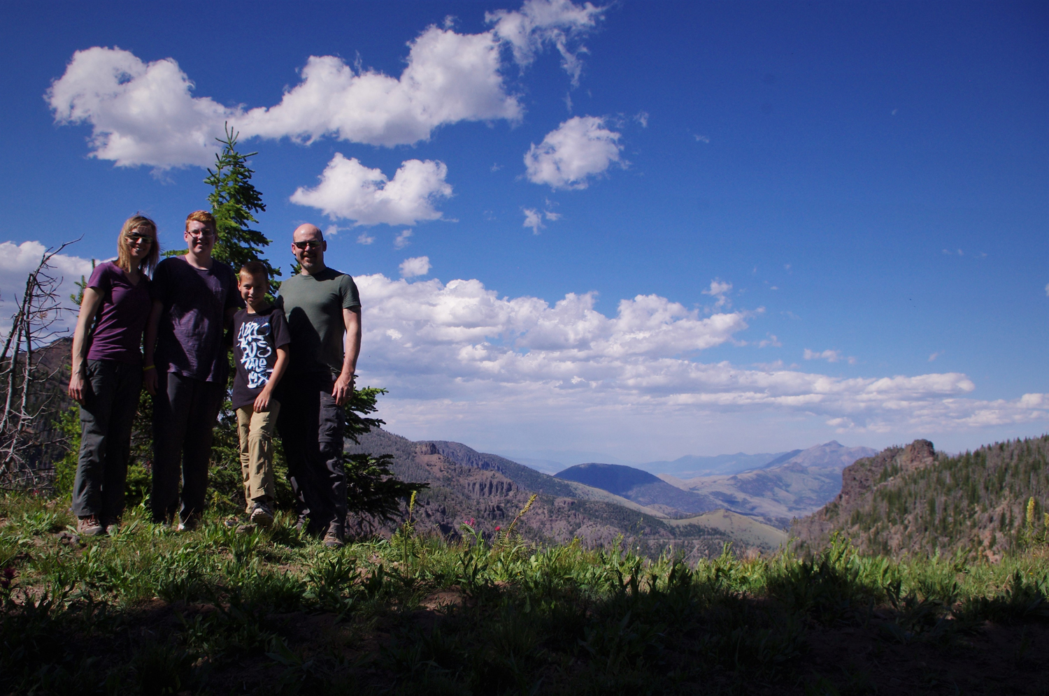 Michael Veltman – SNHA