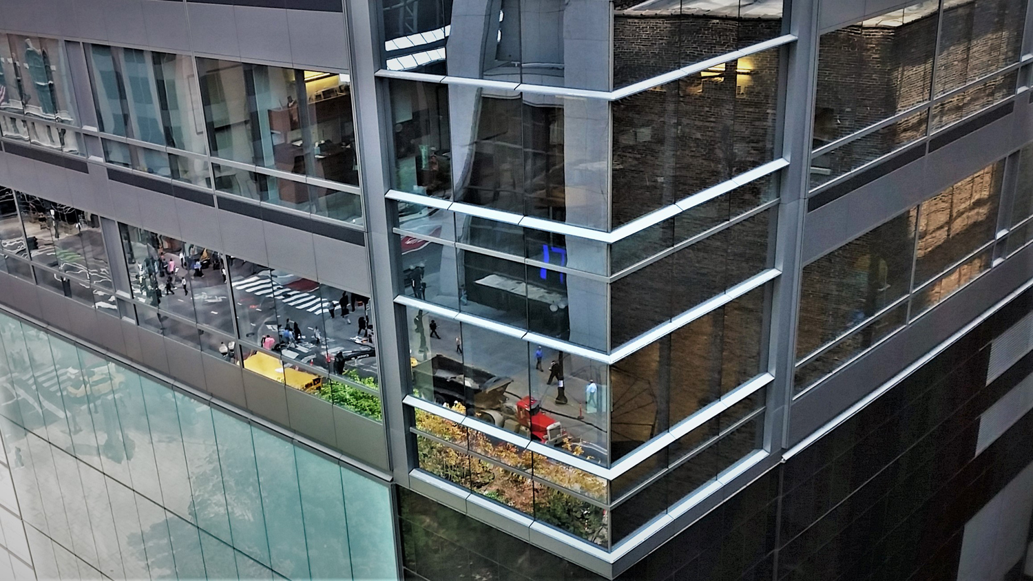 Michael Veltman – SNHA