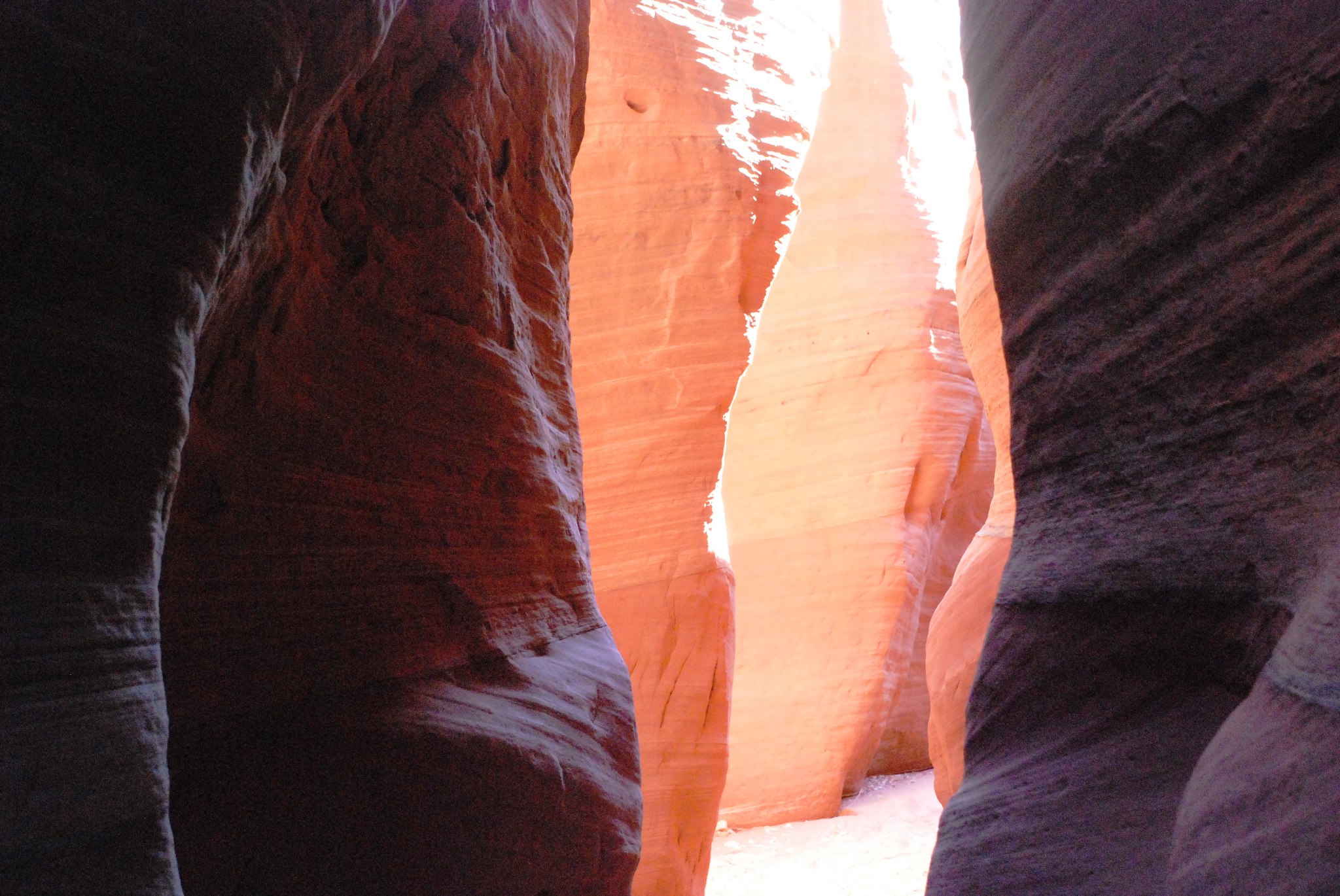 Neil Sheehan – SNHA