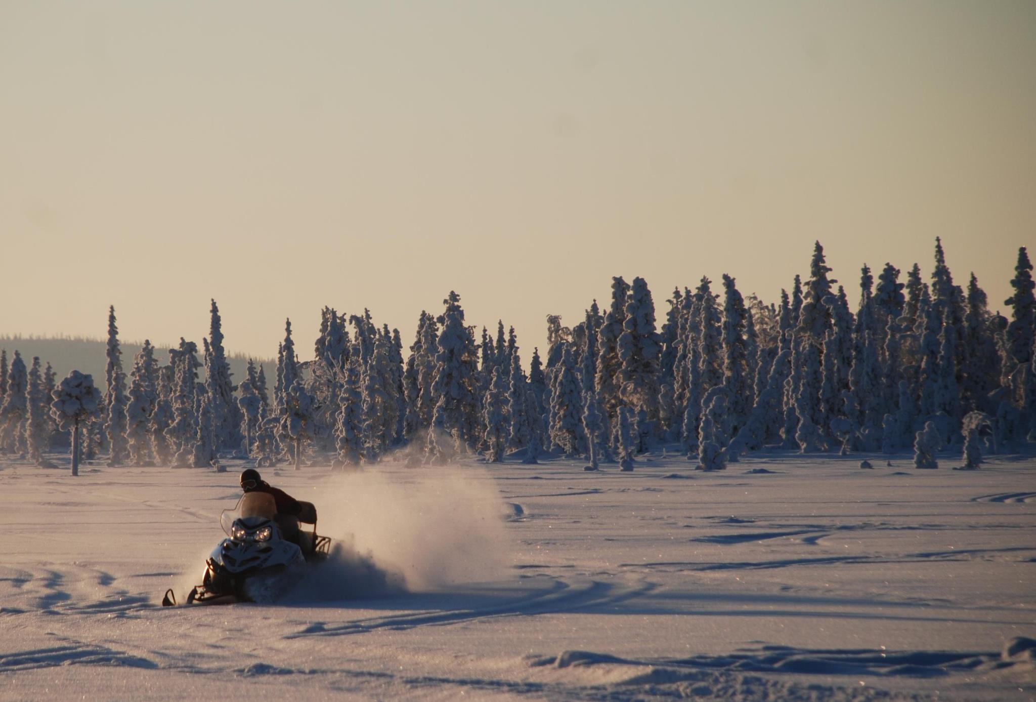 Neil Sheehan – SNHA