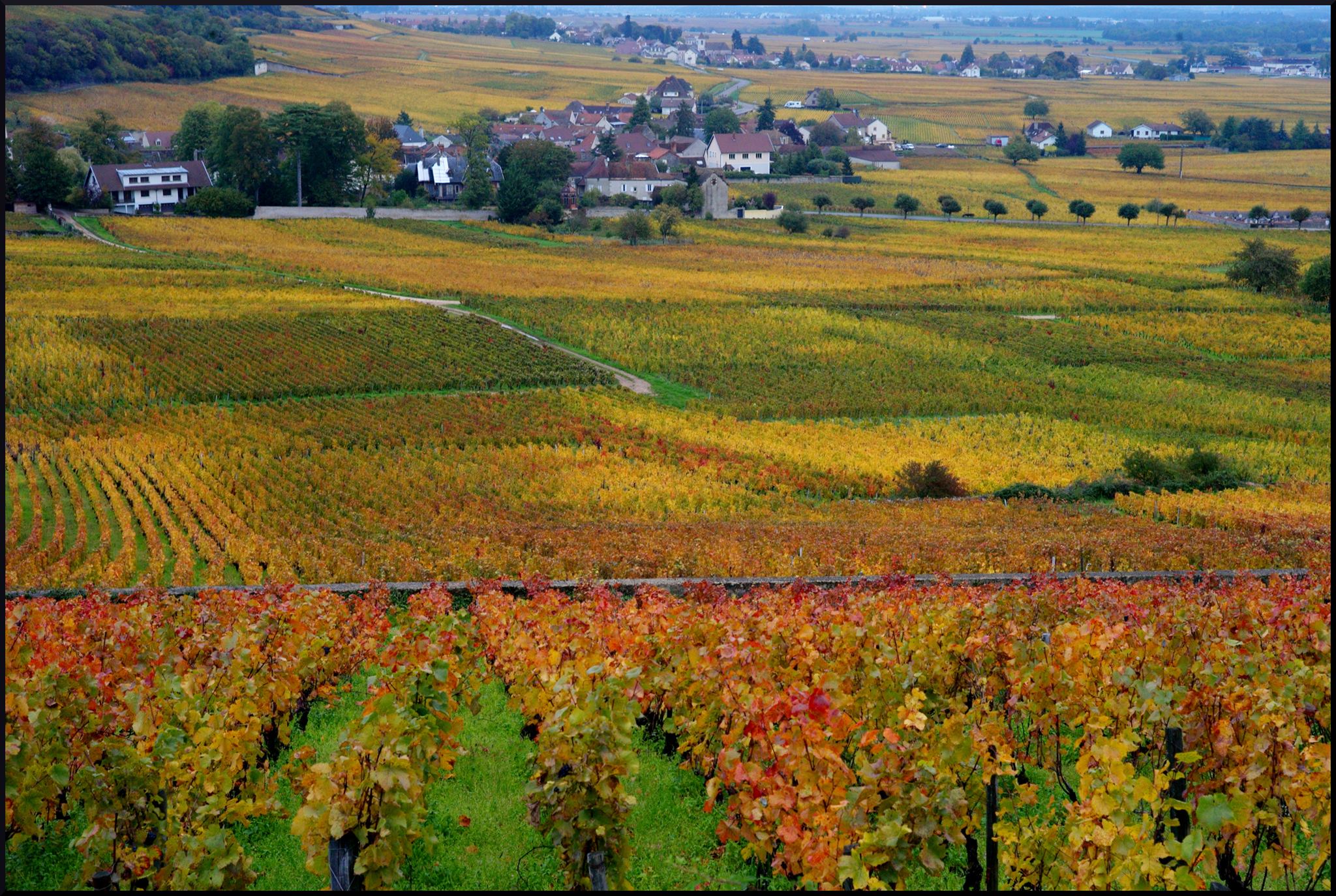 Neil Sheehan – SNHA