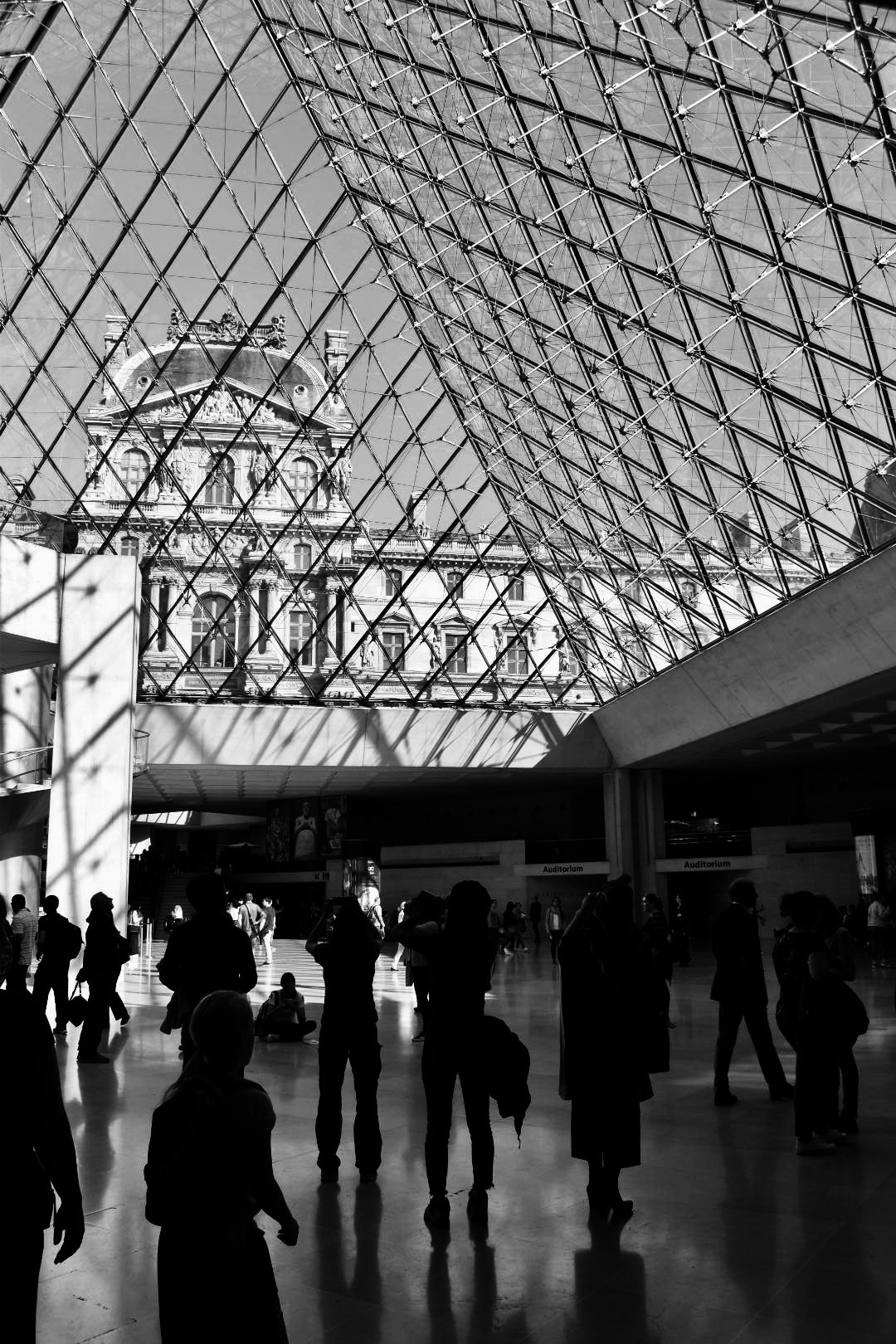 Timothy Hill – SNHA