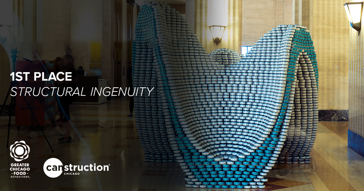 SNHA Wins International Canstruction Award – SNHA